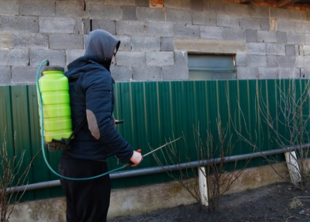 Cómo fumigar tu huerto: una guía para principiantes